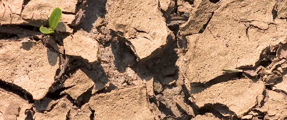 Famine, Drought and Hunger: The Mystical Implications - BahaiTeachings.org