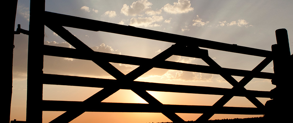 How Does Religion Begin? The Declaration of the Bab - BahaiTeachings.org