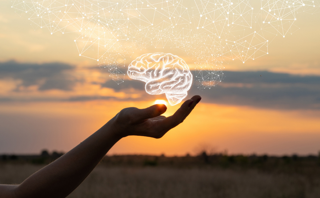 The Human Brain: Which Part Contains the Conscience? - BahaiTeachings.org