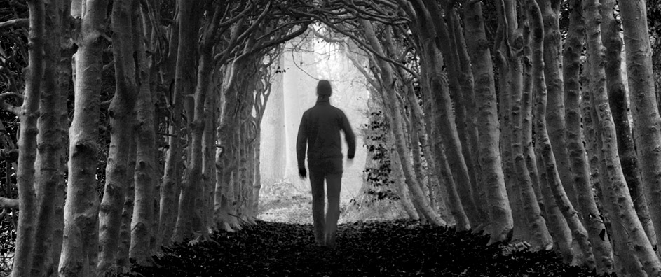 Shedding Death’s Bear Suit - BahaiTeachings.org