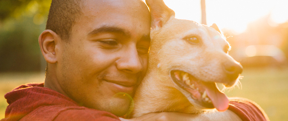 Learning the Lessons of Life from My Dog - BahaiTeachings.org
