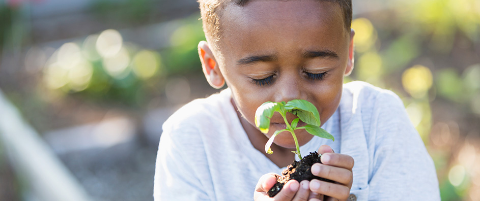 Using Our Inner and Outer Senses - BahaiTeachings.org