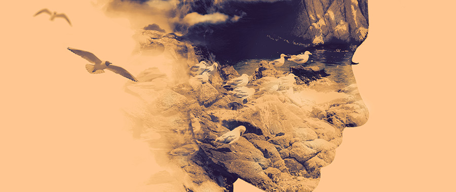 Detaching from the Physical Reality - BahaiTeachings.org