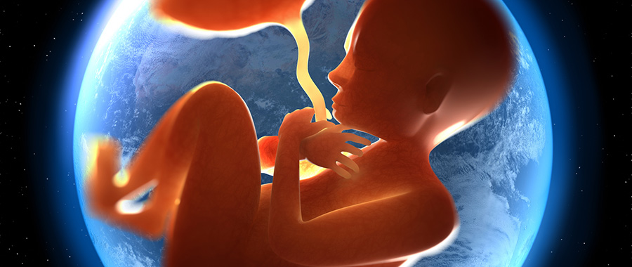 Preparing For Our Birth Into The Next World - BahaiTeachings.org