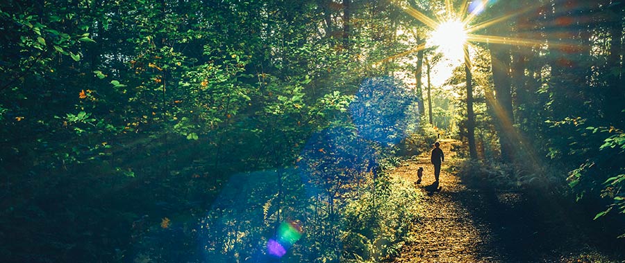 Walking the Path Toward World Unity - BahaiTeachings.org