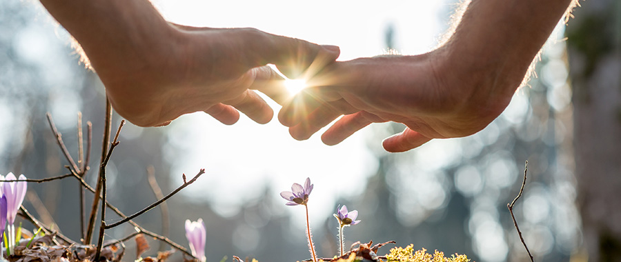 Embracing Light and Becoming a Virtuous Person - BahaiTeachings.org