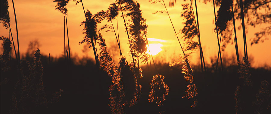 The Bab and Baha’u’llah: Two Divine Messengers - BahaiTeachings.org