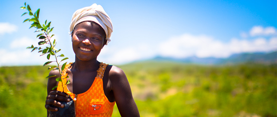 The Smallholder Farm Revolution: Developing Disruptive Solutions ...