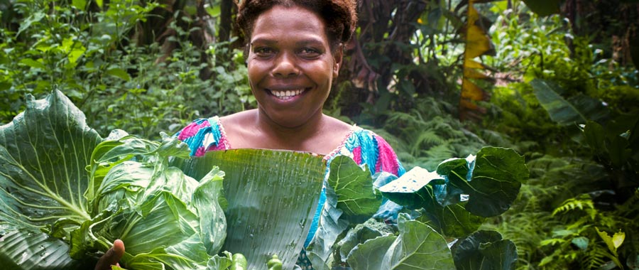 Providing Food Security in the Face of a Global Health Crisis ...