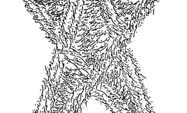 The Spiritual Meaning and Symbolism of the Number 5 - BahaiTeachings.org