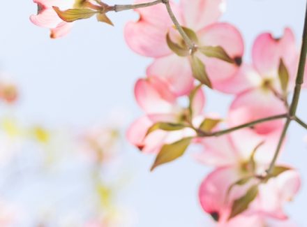 Exploring the Meaning of Our 4 Spiritual Seasons - BahaiTeachings.org