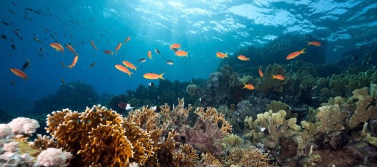 The Spiritual Meaning of Water: Exploring 5 Significant Symbols ...