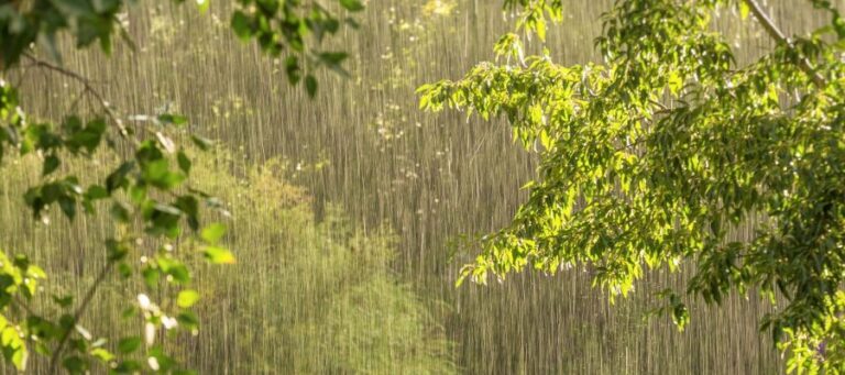 The Spiritual Meaning of Water: Exploring 5 Significant Symbols ...