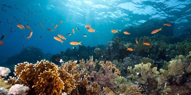 El significado espiritual del agua: descubriendo 5 símbolos ...