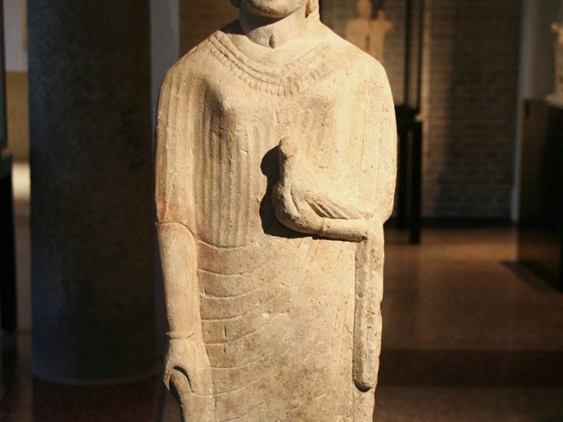 The Sweet Symbolism and Spiritual Meaning of Doves - BahaiTeachings.org