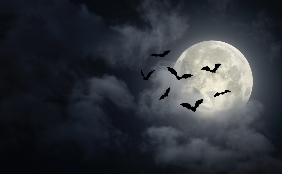 Culture | BahaiTeachings.org